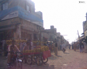 Sindh-Naushero Feroze