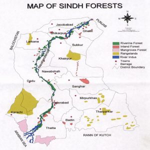SINDH TOPOGRAPHY