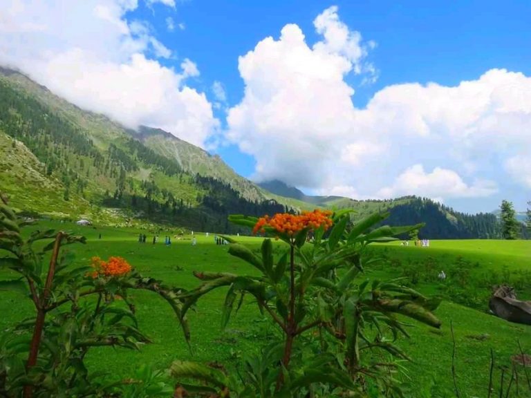 Khyber Pakhtunkhwa-Battagram