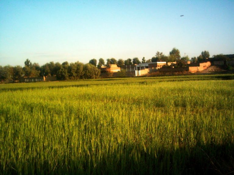 Khyber Pakhtunkhwa-Lakki Marwat