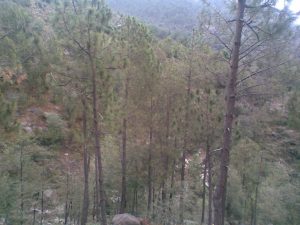 Khyber Pakhtunkhwa-Bajaur