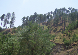 Khyber Pakhtunkhwa-Mansehra