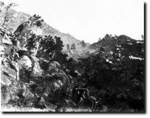 Khyber Pakhtunkhwa-Buner